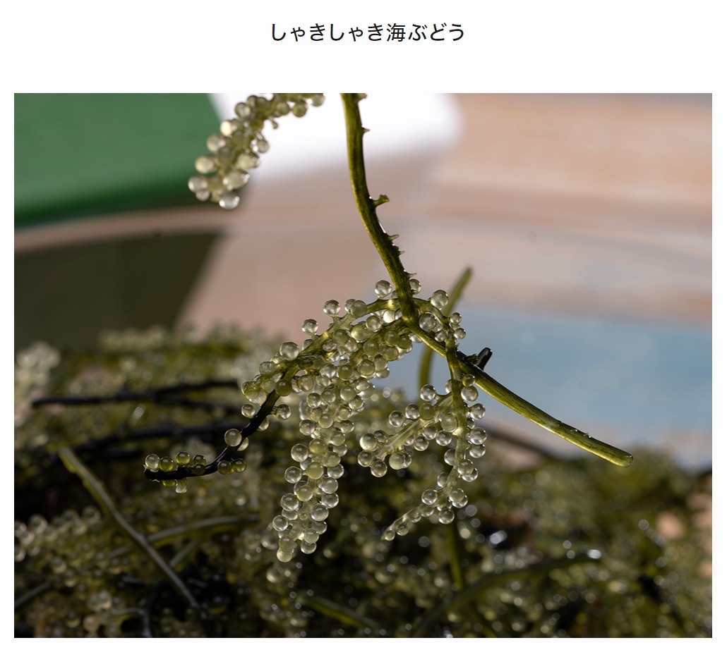 海ぶどう｜美味お取り寄せ。dancyu