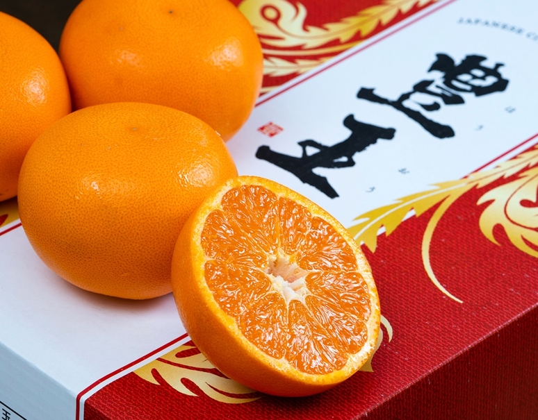 新品種『豊王（ほうおう）』大分県産柑橘 約3kg（10〜15玉）化粧箱 風袋込 ※常温｜美味お取り寄せ。dancyu