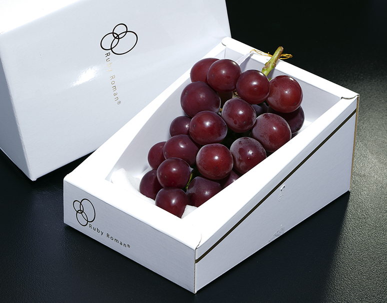 『ルビーロマン』 石川県産ぶどう 秀品 1房 約600〜700g 化粧箱入 ※冷蔵｜美味お取り寄せ。dancyu