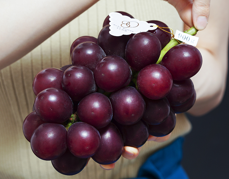 『ルビーロマン』 石川県産ぶどう 秀品 1房 約600〜700g 化粧箱入 ※冷蔵｜美味お取り寄せ。dancyu